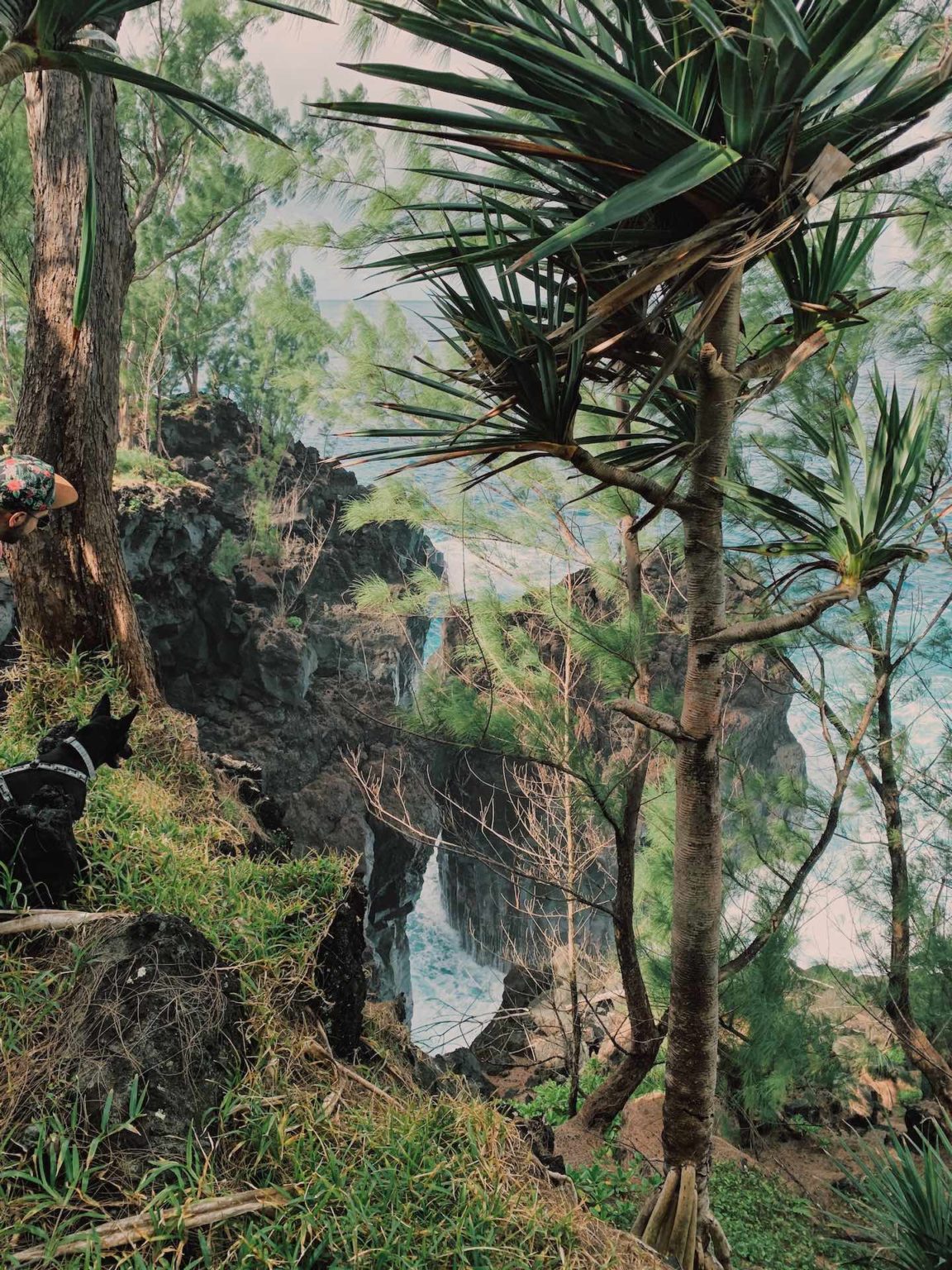 ROADTRIP À LA RÉUNION : QUE FAIRE DANS L'EST DE L'ÎLE